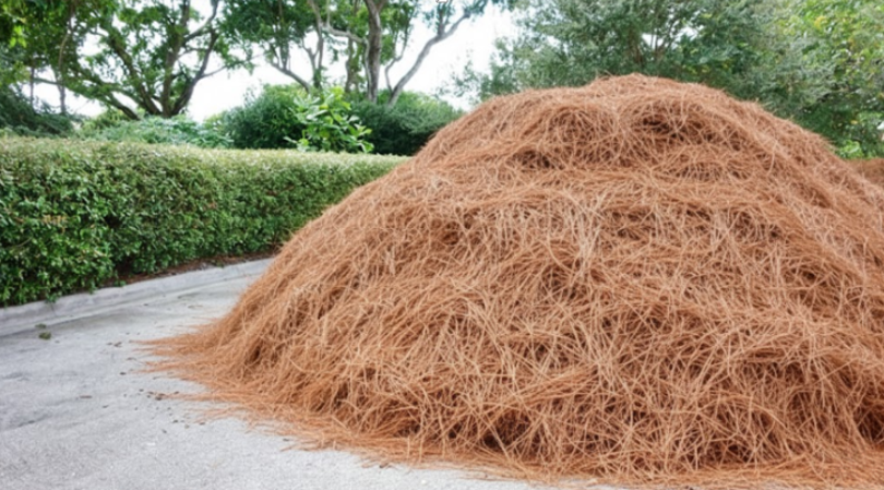 Why Pine Straw Installation Is Essential for Weed Prevention and Garden ...